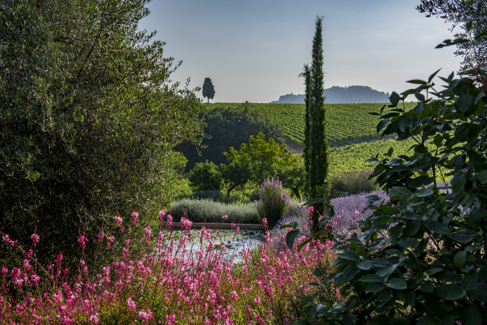 Parco Villa Trecci - Proloco Montepulciano